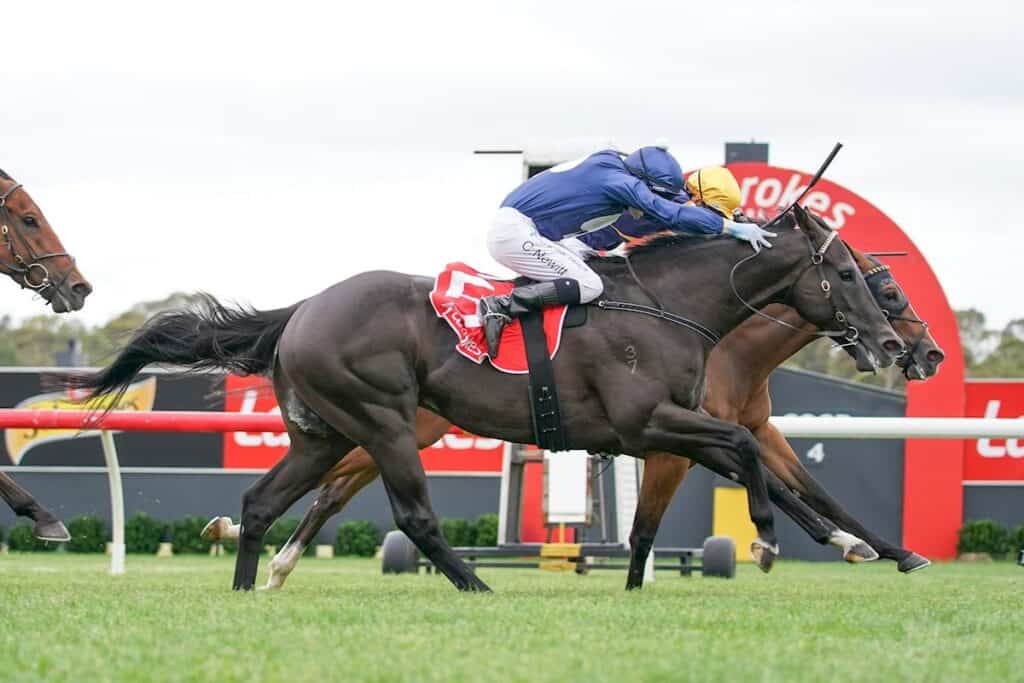 The Trophy Room – theloftygroup.au