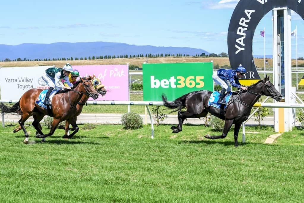 The Trophy Room – theloftygroup.au