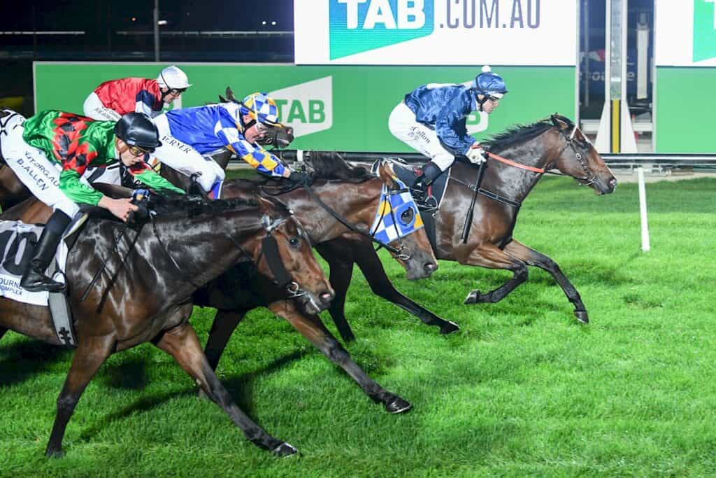 The Trophy Room – theloftygroup.au