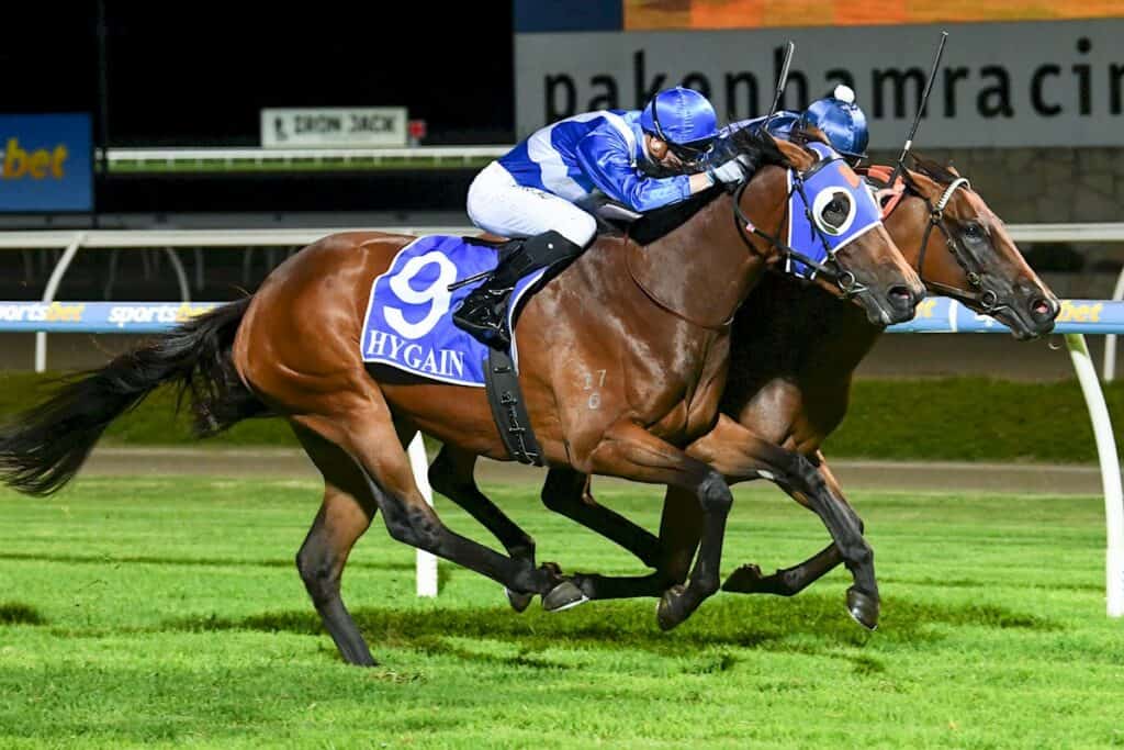 The Trophy Room – theloftygroup.au