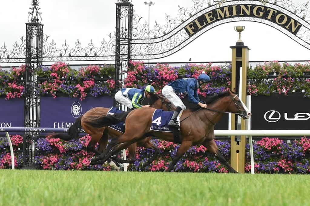 The Trophy Room – theloftygroup.au